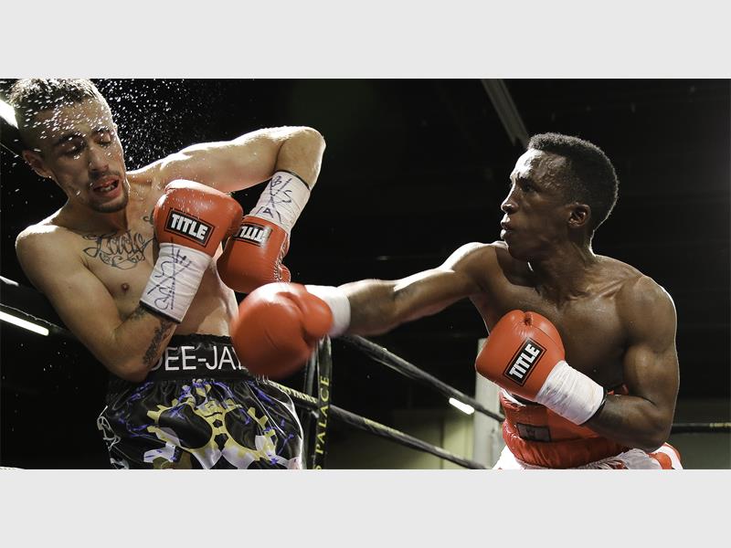 Seven knockouts at the Prospects boxing extravaganza | Boksburg Advertiser