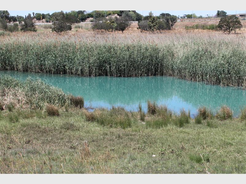 Metro unresponsive on state of dam | Boksburg Advertiser