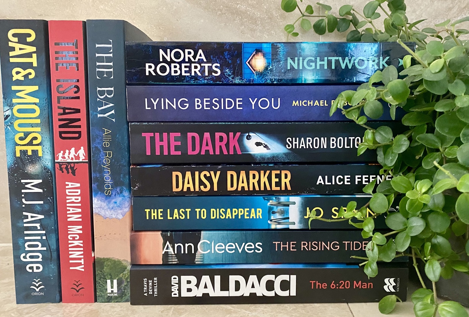 The 10 best thrillers of the month | Boksburg Advertiser