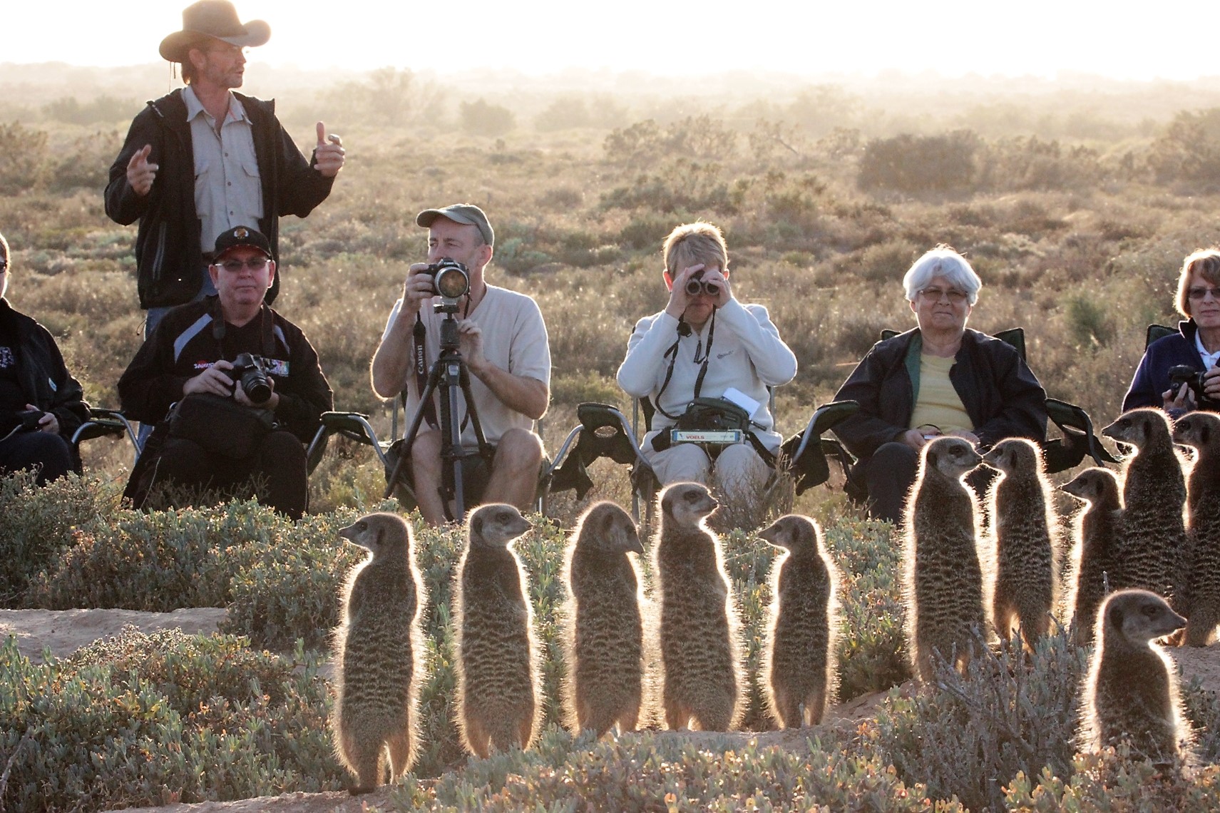 Meerkats, mountains and memorable moments in the Klein Karoo | Boksburg ...