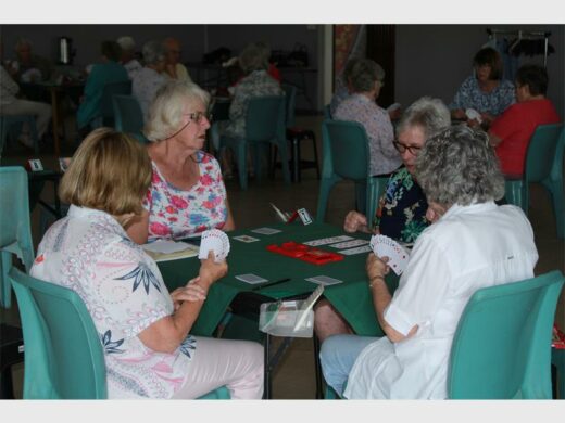 Benoni bridge club looking for new members | Boksburg Advertiser