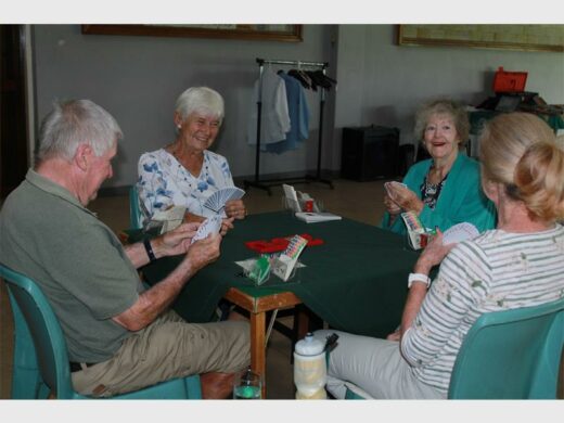 Benoni bridge club looking for new members | Boksburg Advertiser