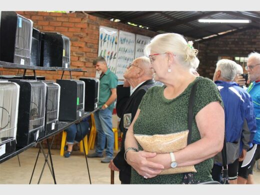 Transvaal Zebra Finch Society hosts first show of the year | Boksburg ...