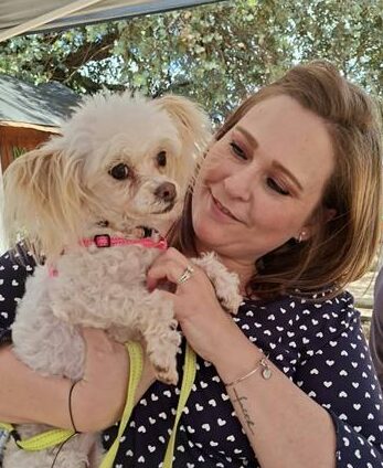 Fireworks: Missing maltese found safe after three days | Boksburg ...