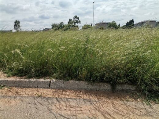 CoE blames festive break, rain for grass-cutting backlog | Boksburg ...