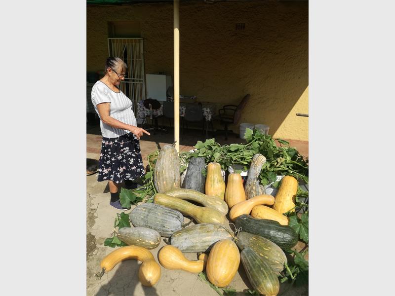 Maria (80) shares her produce with family and friends | Benoni City Times