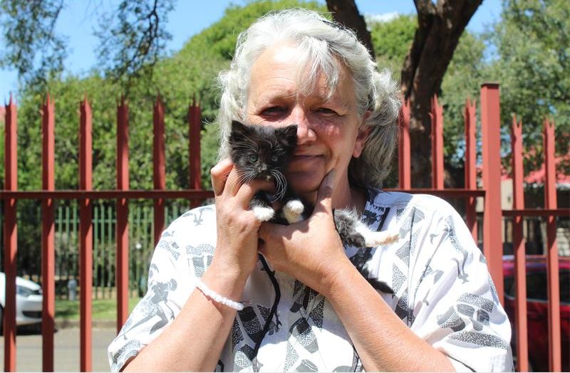 The Murphy Cat Project needs your help | Benoni City Times
