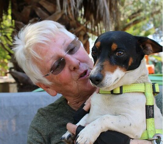 Volunteer turns rescues into loving companions | Benoni City Times