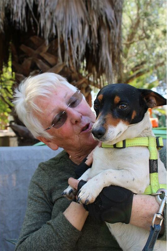Volunteer turns rescues into loving companions | Benoni City Times