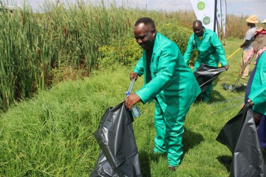 Organisations urge communities to protect wetlands | Benoni City Times