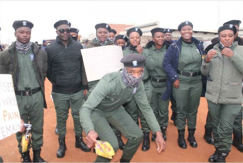 Wardens already hard at work fighting crime | Benoni City Times