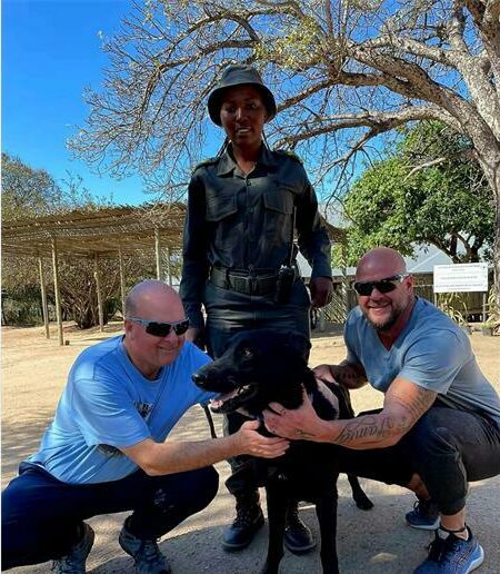FOLLOW-UP: Mitchley brothers raise thousands for conservation | Benoni ...