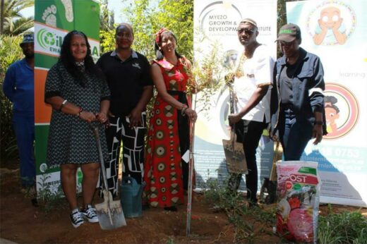 Organisations help school maintain green environment by planting trees ...