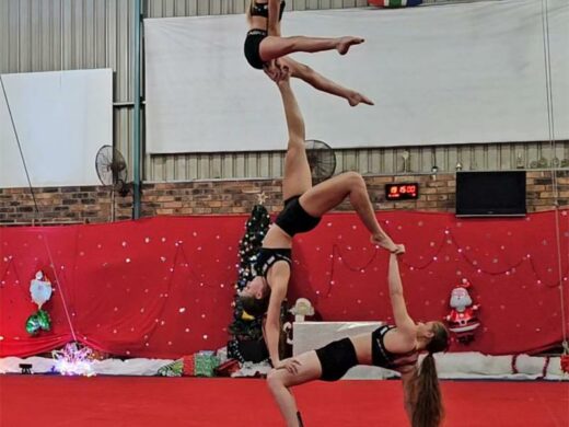 Gymnasts jump into the spotlight at gala event | Benoni City Times