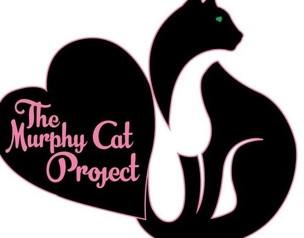 Murphy Cat Project celebrates 21 years | Benoni City Times