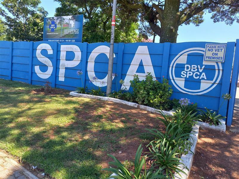 Date set for Benoni SPCA AGM | Benoni City Times