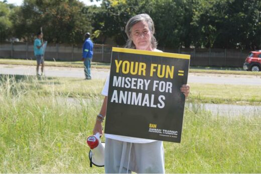 BAT activists fight for animals’ rights during McLaren Circus | Benoni ...