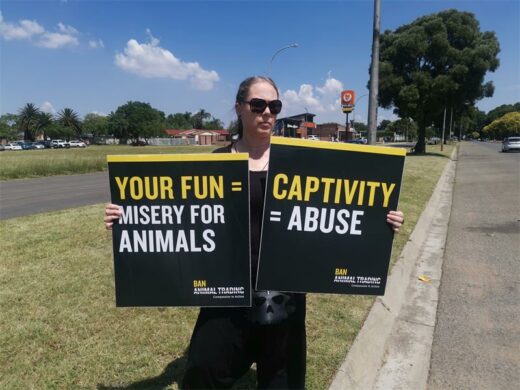 BAT activists fight for animals’ rights during McLaren Circus | Benoni ...