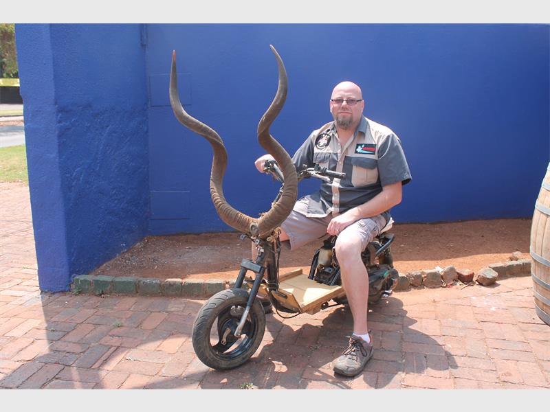 Dié bromponie brul nog met koedoehorings en al | Brakpan Herald