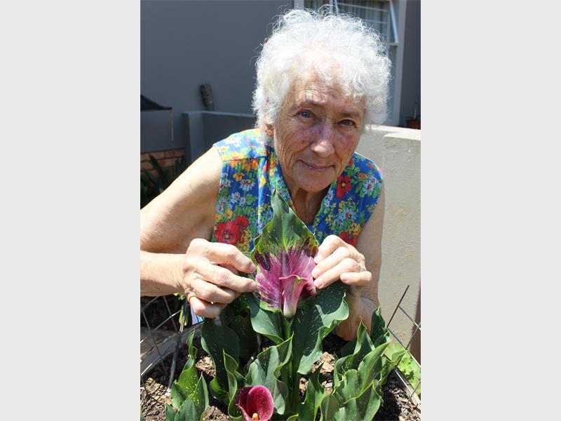 Buitengewone varkoor groei al te mooi | Brakpan Herald