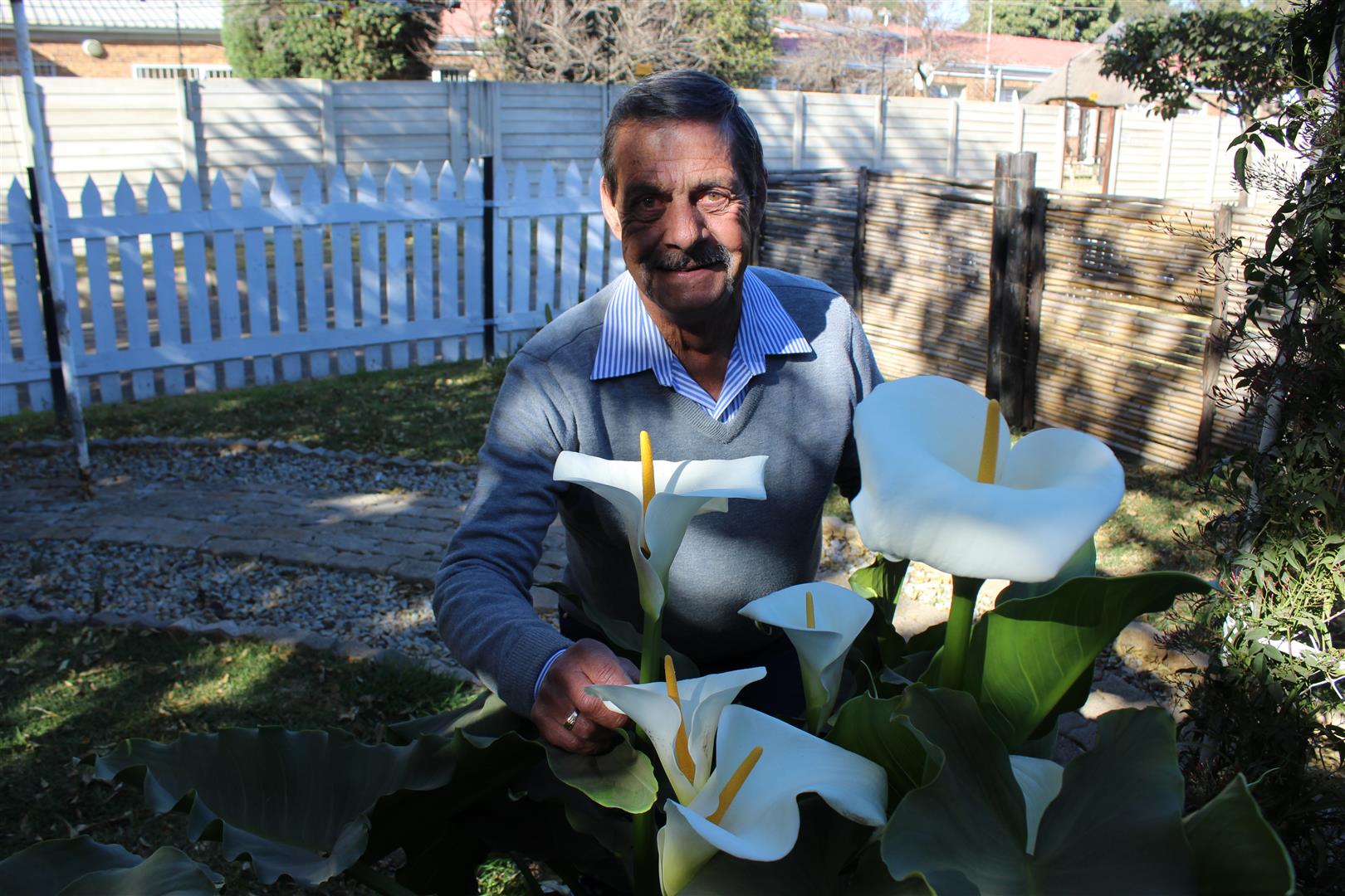 Varkore groei welig in dié tuin | Brakpan Herald