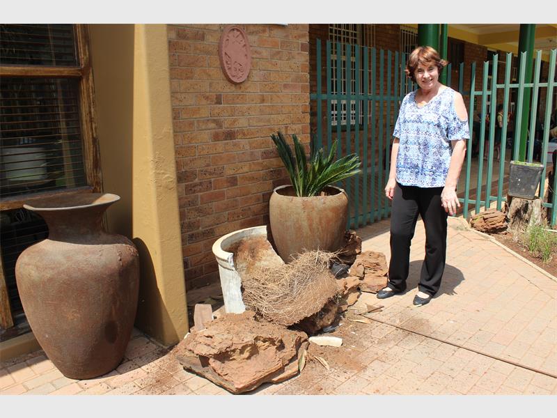 Dief steel twee broodbome by Laerskool Dalview | Brakpan Herald