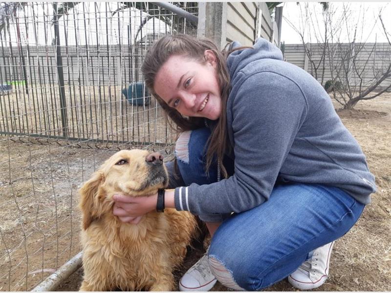 Jong vrywilliger sorg dat diere genoeg liefde kry | Brakpan Herald