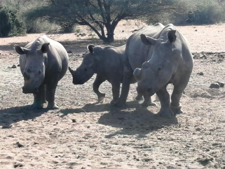 Bookings for Insimbi Legacy Projects AWAC weekends now open | Brakpan ...