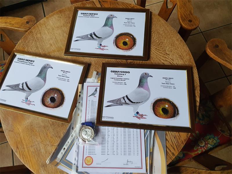 Duiweklubs gee erkenning aan lede | Brakpan Herald