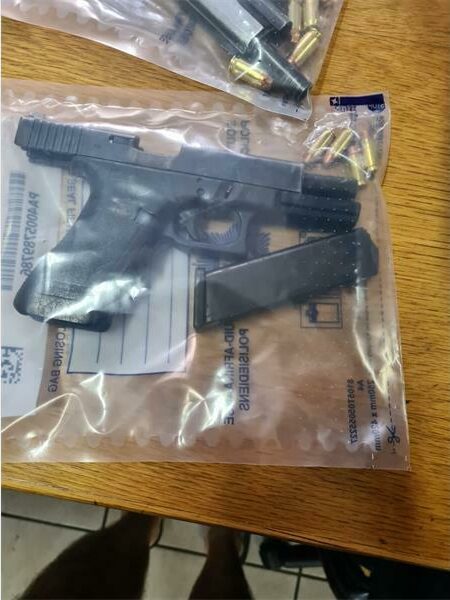 Armed robbery suspects stopped in their tracks | Brakpan Herald