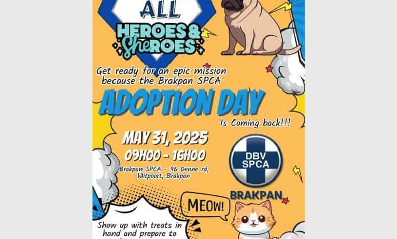 Brakpan SPCA Adoption Day: Your new family member awaits you | Brakpan Herald