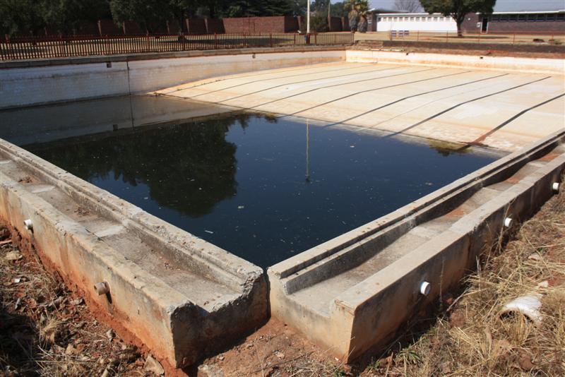 No outcome for Selection Park pool | Springs Advertiser