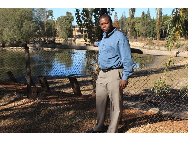 Geese walking instead of swimming | Springs Advertiser