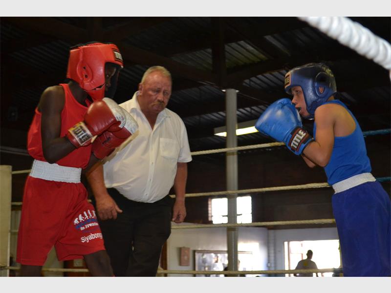 Bert Collins tournaments draws boxers from across Gauteng | Springs ...