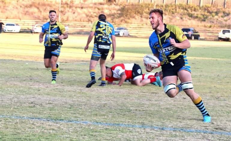 Three wins for Springs Rugby Club | Springs Advertiser