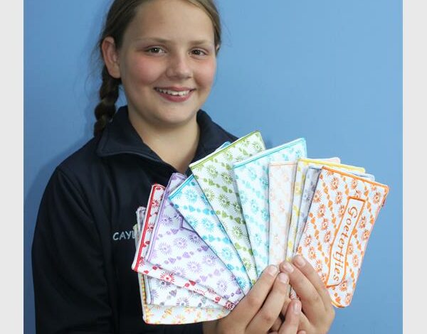 Vernedering oor sanitêre doekies laat leerder plan maak | Springs ...