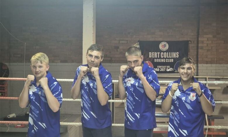 Boksers wys staal by Gauteng Beginner Kampioenskappe | Springs Advertiser