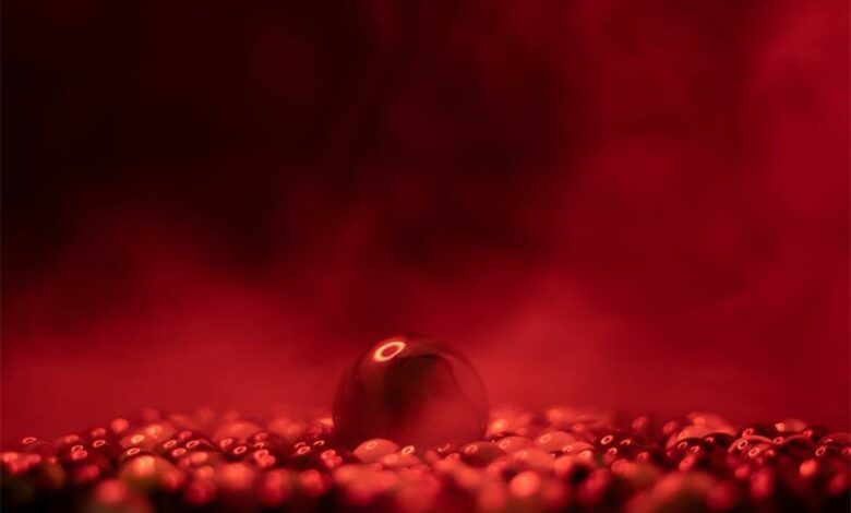 Springs Photography Club show talent with January winners | Springs ...