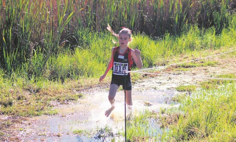 Springs youngsters shine in brutal Champions League cross-country ...
