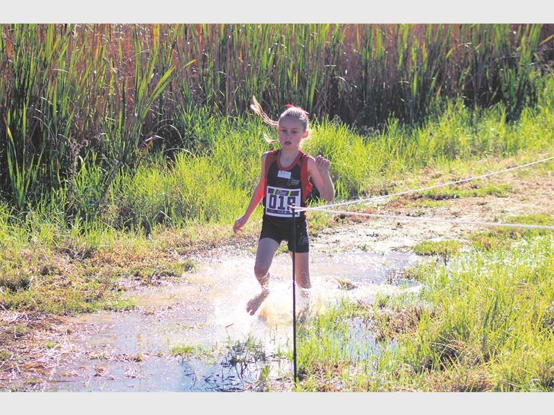 Springs youngsters shine in brutal Champions League cross-country ...