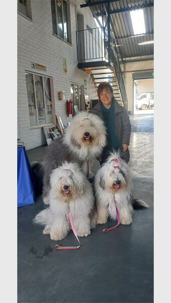Hot Pot Paint and Hardware relocates to larger premises in Springs ...