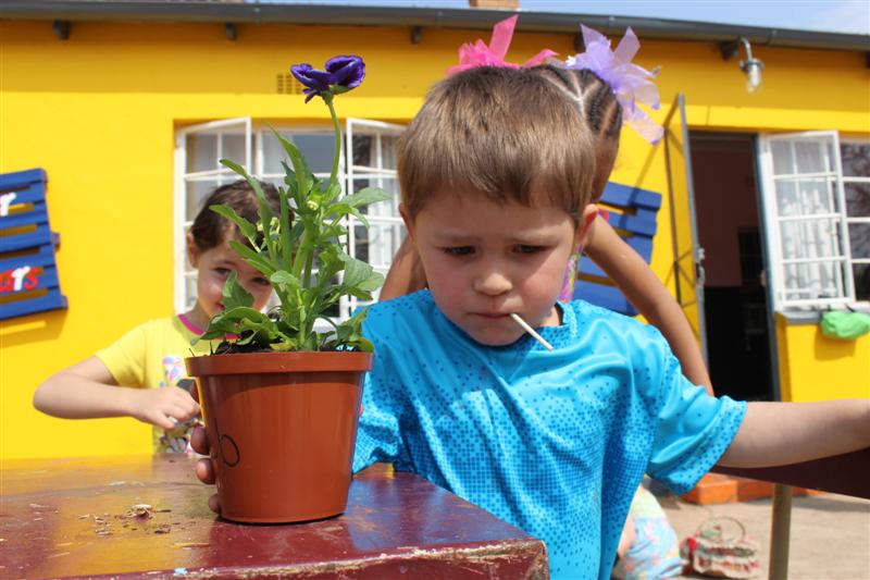 Dis heerlike lente, die winter is verby ... | Randfontein Herald