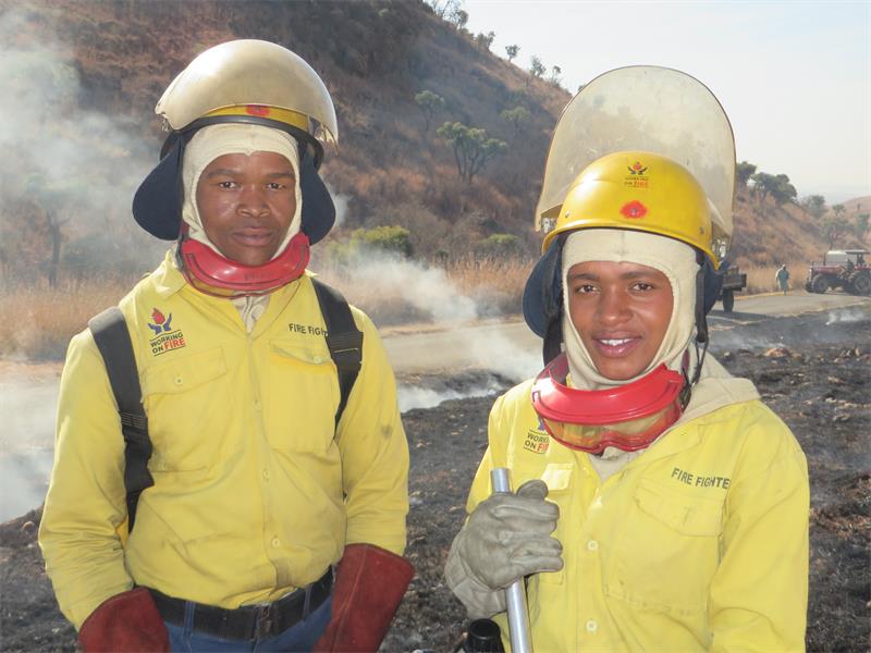 'Fire stats too high,' warns Working On Fire | Randfontein Herald