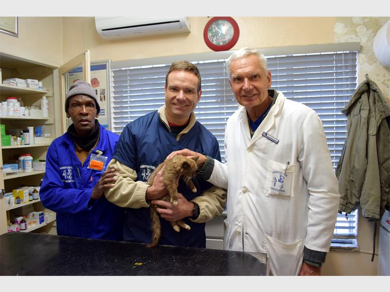 Vat vir Fluffy veearts toe | Randfontein Herald