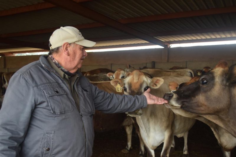 Boerdery is in sy bloed | Randfontein Herald