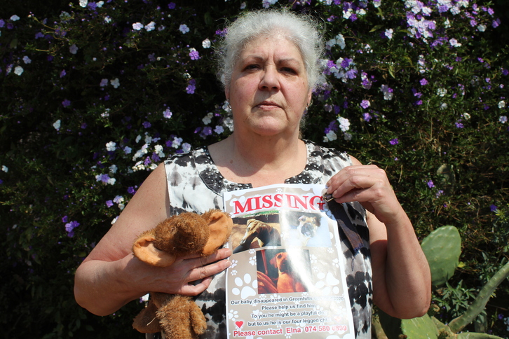 Inwoner soek haar hond: Het jy vir Rodger gesien? | Randfontein Herald