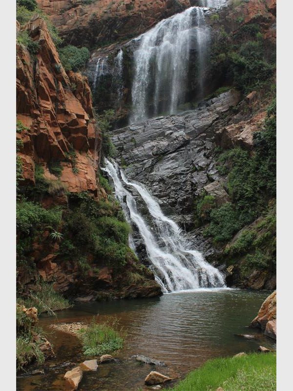 What’s happening in and around town? | Randfontein Herald