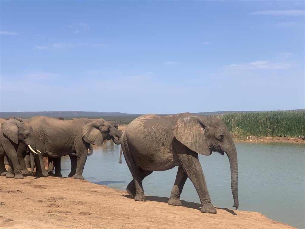 The story of a South African park | Randfontein Herald