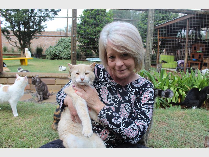 Spice from Cast Aways, Lilly from SPCA up for adoption | Randfontein Herald