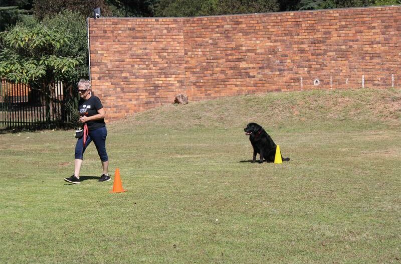 TOP Dogs welcome new recruits | Randfontein Herald
